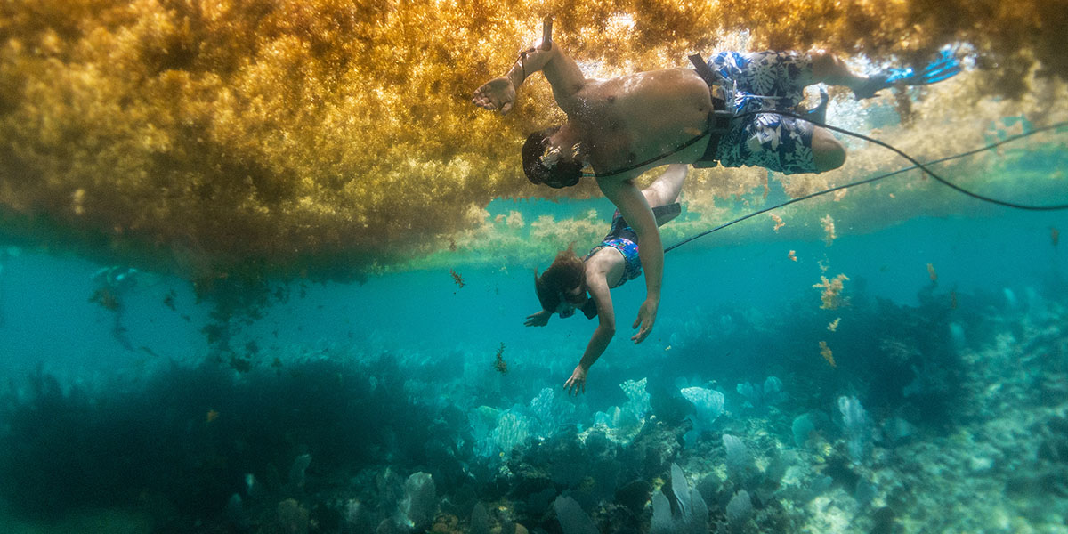 4 Hookah Diving Systems Boaters Can Take With Them – Boatmart Blog